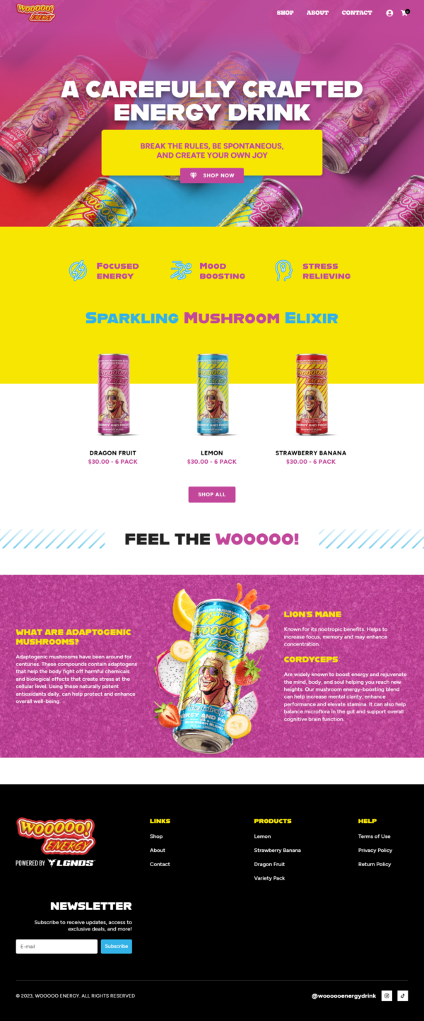 Website Design Portfolio for Wooooo! Energy